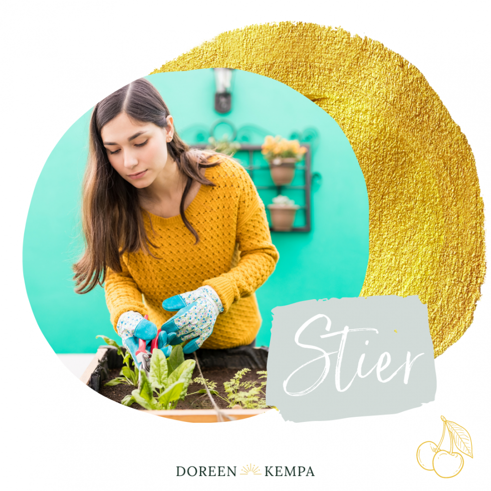 Sonne betritt Stier - 19.04.2021 » Doreen Kempa I Astrologie & Coaching
